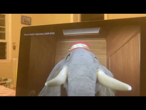 No Unless It’s me I can take you up and down cause I’m the Elephant ...