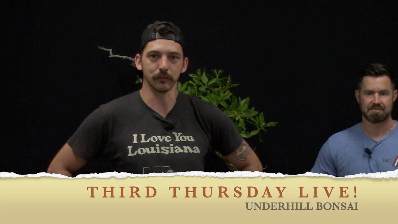 Third Thursday LIVE - Buttonwood Styling with Evan Pardue - YouTube