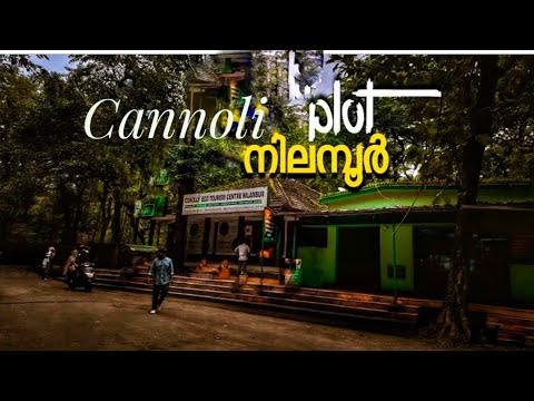 Cannoli Plot | Nilambur | Kerala Tourism | World Oldest Teak Plantation ...