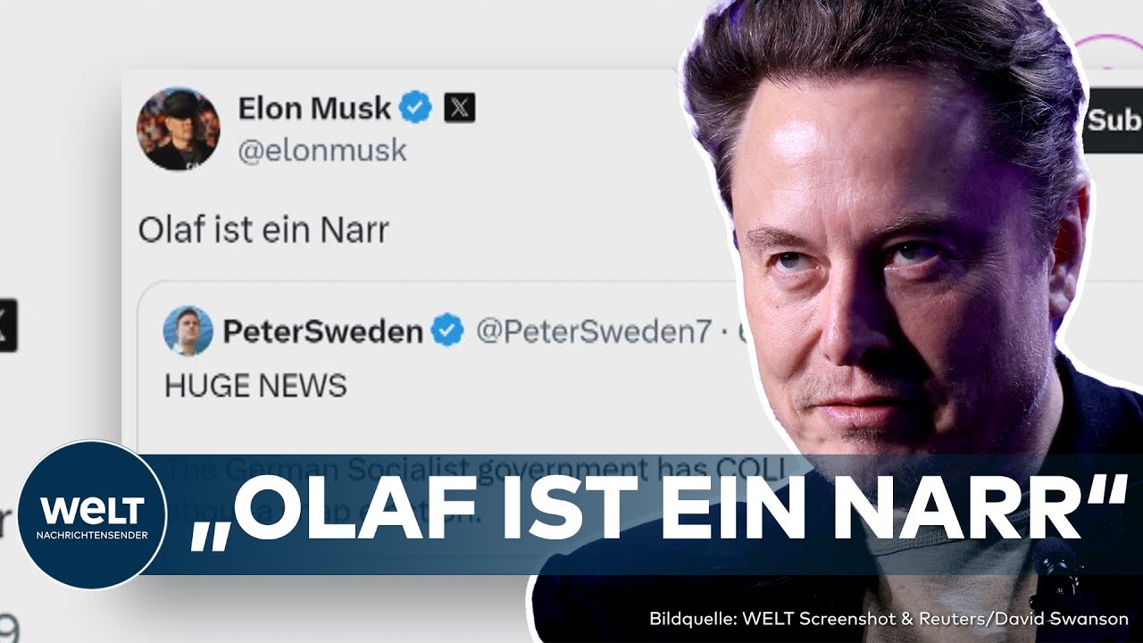 AMPEL-AUS: "Olaf ist ein Narr!" Elon Musk gibt seinen Senf zur ...