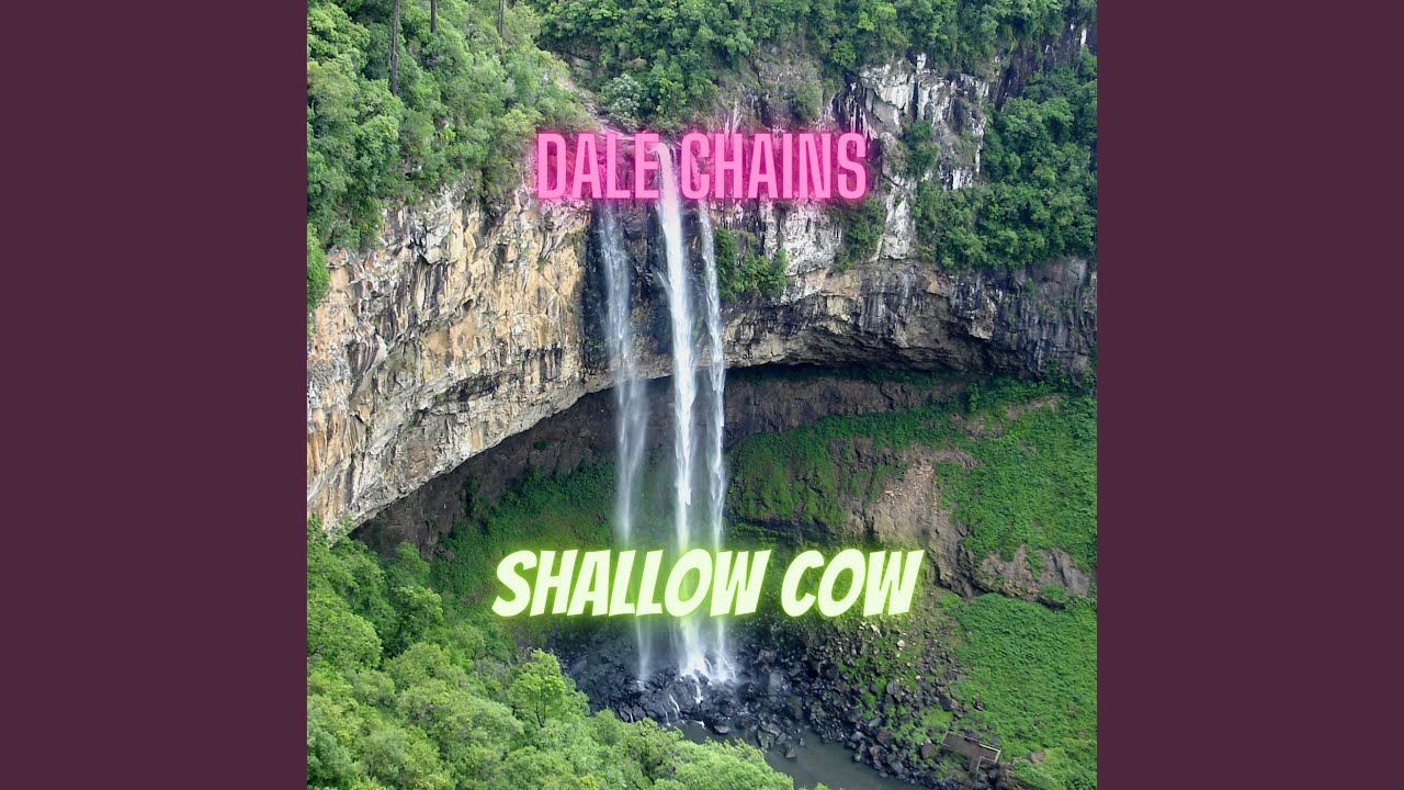 Shallow Cow - YouTube