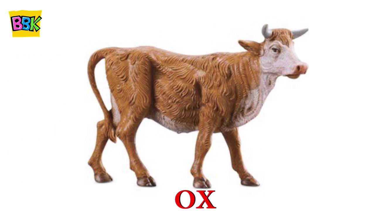 The Finger Family Song Ox English Nursery Rhymes For Kids YouTube the-finger-family-song-ox-english-nursery-rhymes-for-kids-youtube