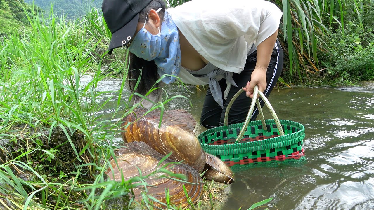🥰The Wild Treasure of the Mutant Clam: A Teenage Girl's Incredible ...