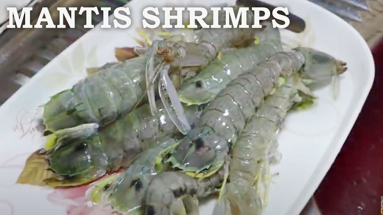 Cooking Mantis Shrimps - Fried Spicy Seafood Recipe - YouTube