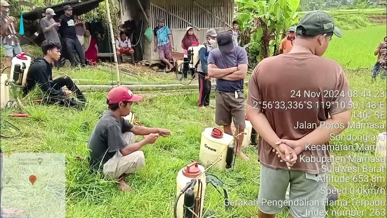 Peserta Positif Mind Competition - Darman Faturahman, SP (Sulbar) - YouTube