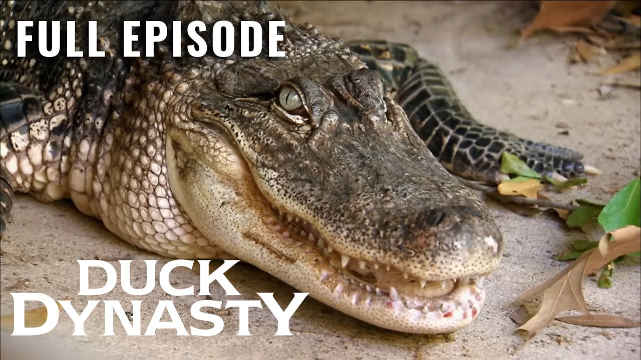 Duck Dynasty: Redneck Roadtrip (S1, E13) | Full Episode - YouTube