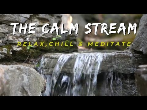 The Calm Stream - Relax, Chill & Meditate - YouTube