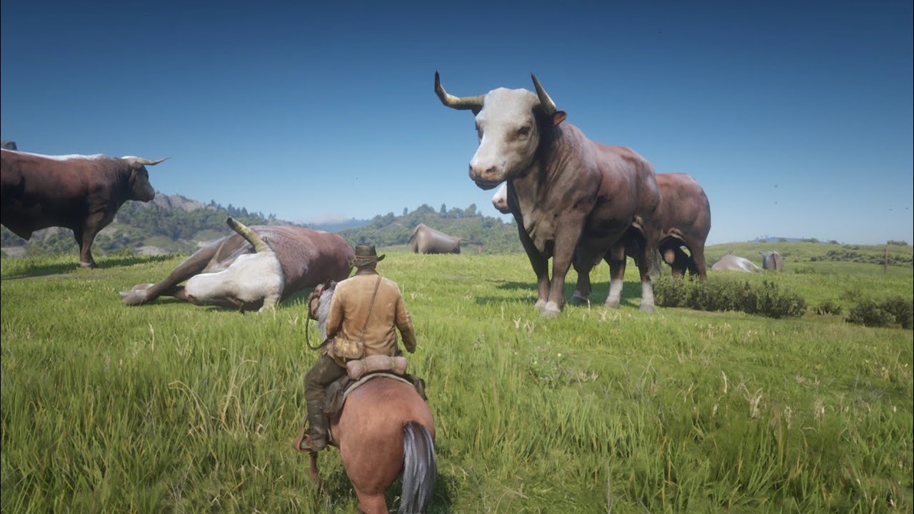 RDR2 - Hunting giant bulls in the field - YouTube