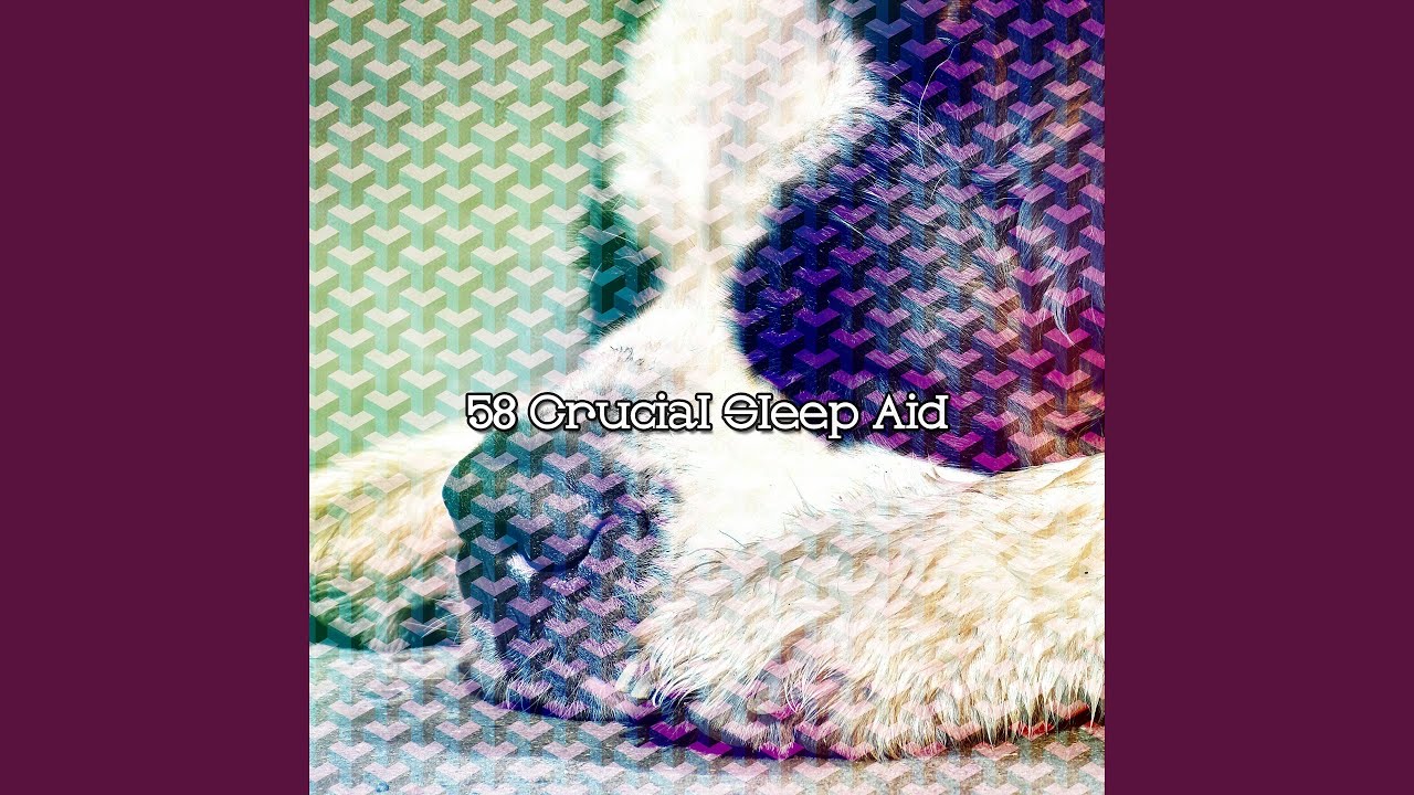 Professional Sleeper - YouTube