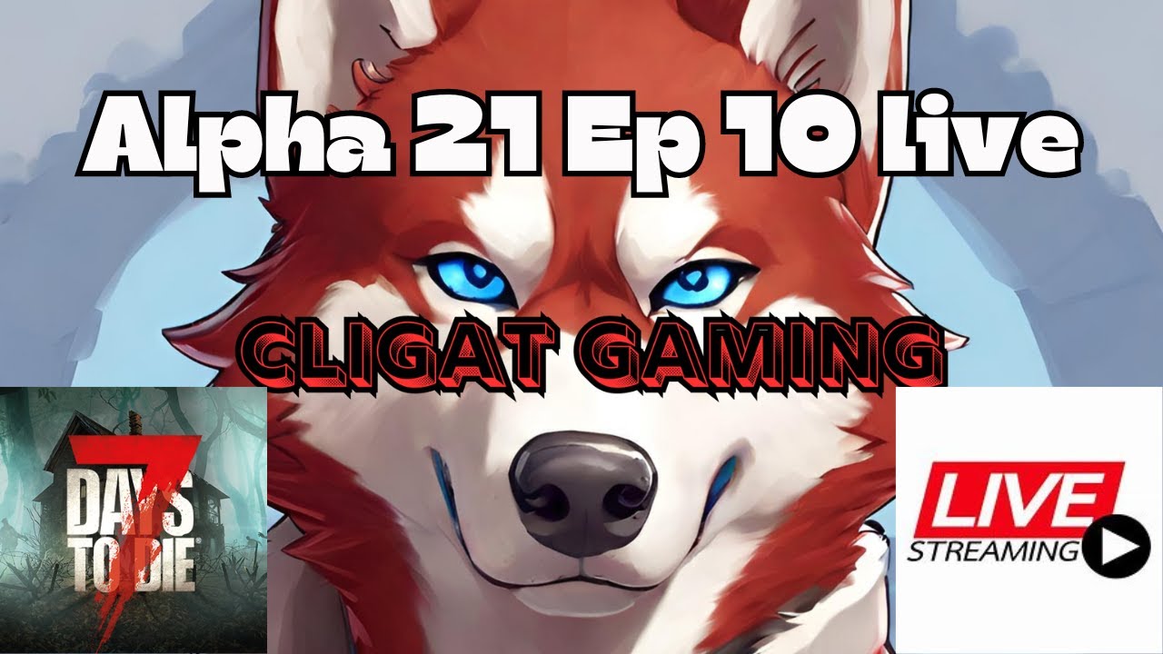 Alpha 21 Ep 10 Live - YouTube