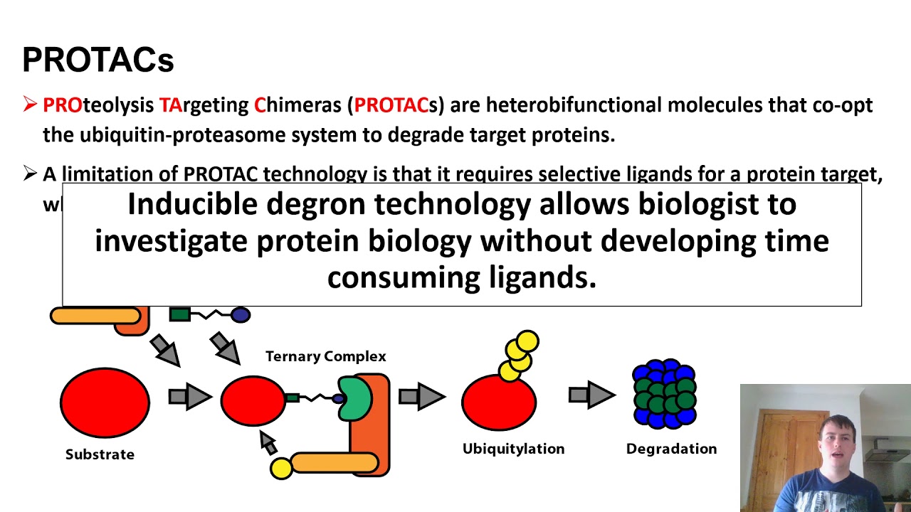 The Bromo-Tag: A novel PROTAC-inducible degron system - YouTube