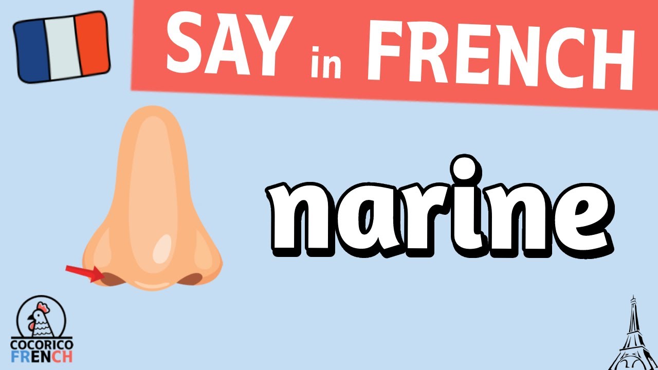Narine SAY IN FRENCH How To Pronounce NOSTRIL In French Cororico narine-say-in-french-how-to-pronounce-nostril-in-french-cororico