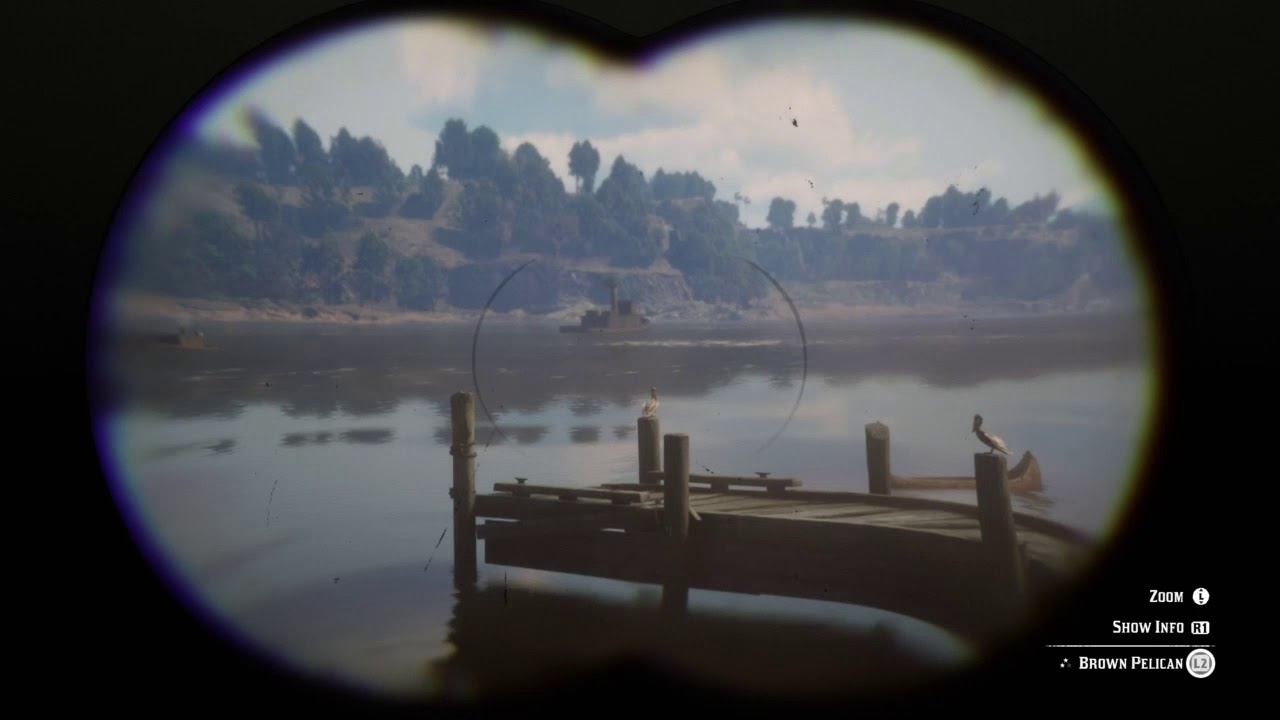 RDR2 - Brown Pelican location at Annesburg pier - YouTube