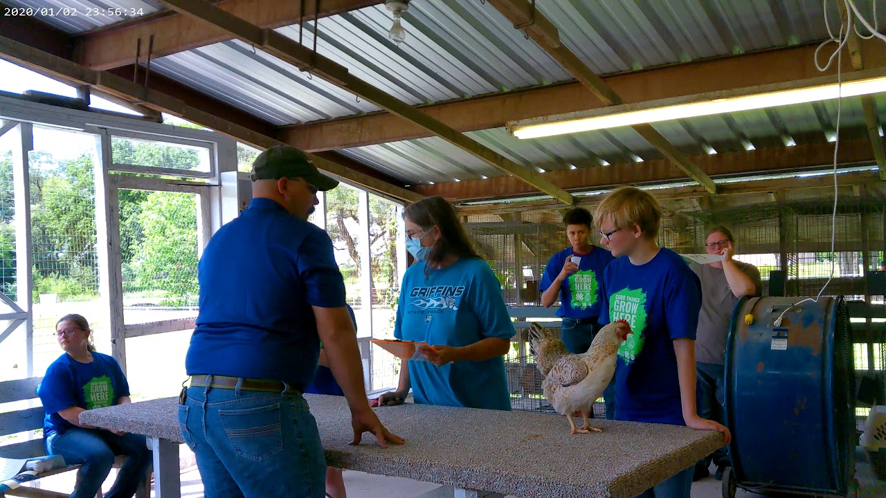 2020 4-H Poultry Show Part 7 - YouTube