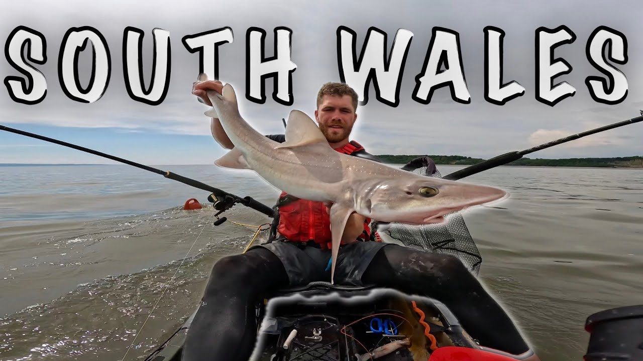 FISHING FOR SMOOTH HOUNDS AND RAYS ON THE WELSH COAST - YouTube