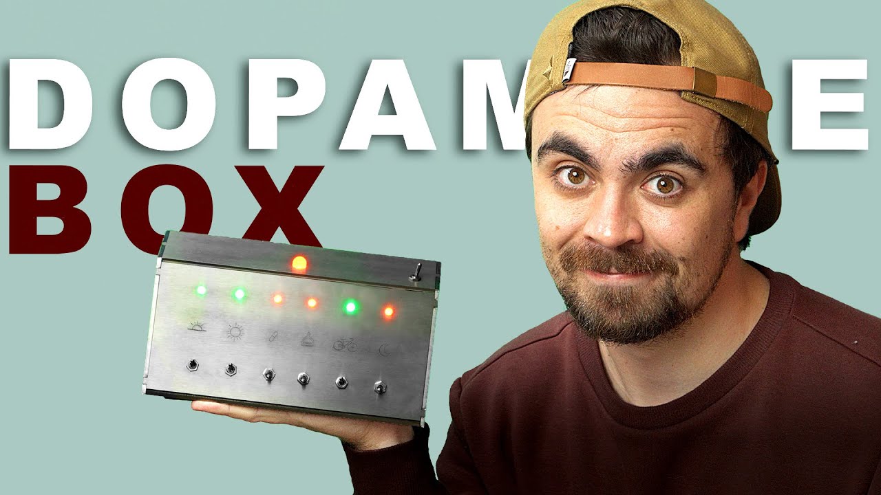 I Built a Dopamine Box - YouTube