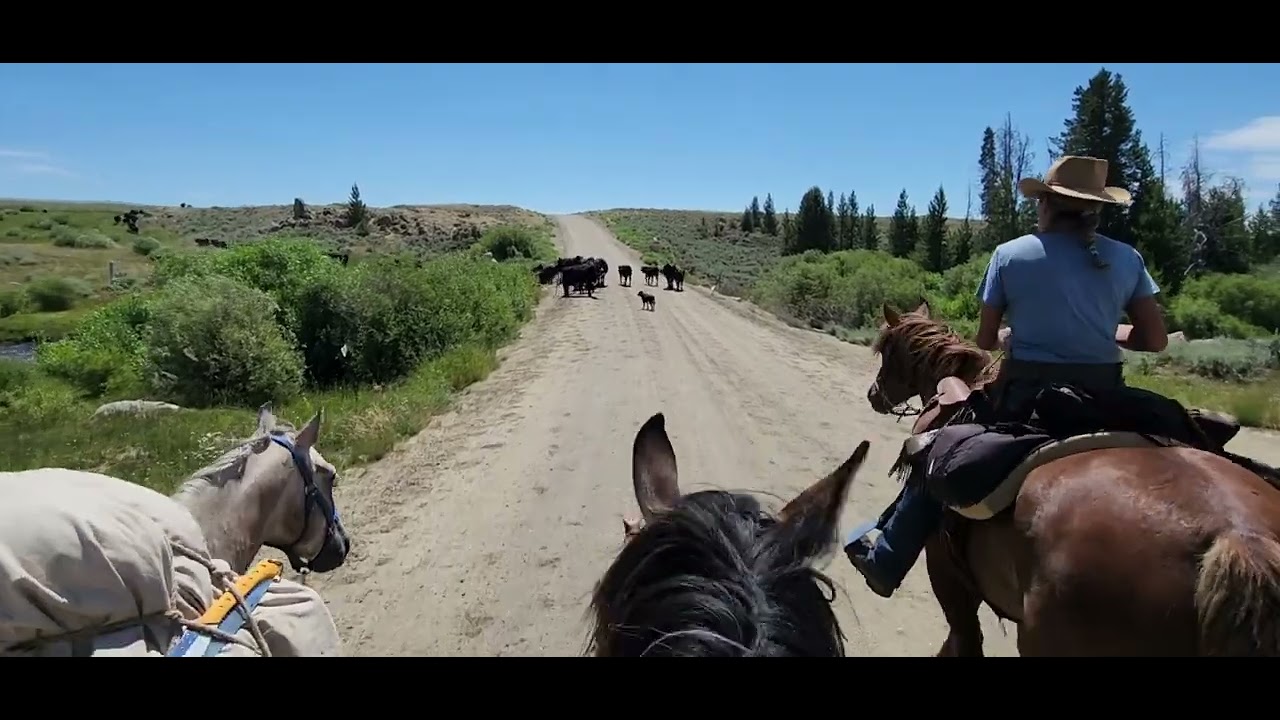 On the Oregon trail Shane's Day 42 - YouTube