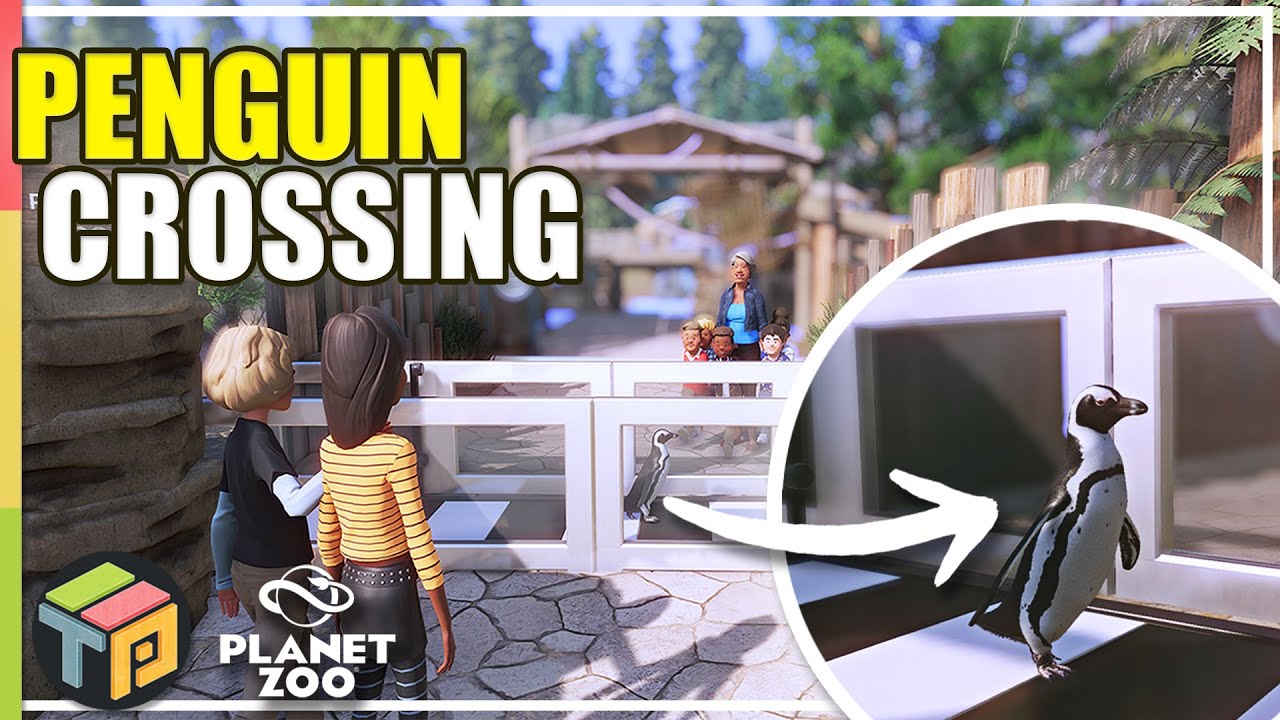 A FUN new feature for my Penguins | Tiguidou Zoo | Planet Zoo - YouTube