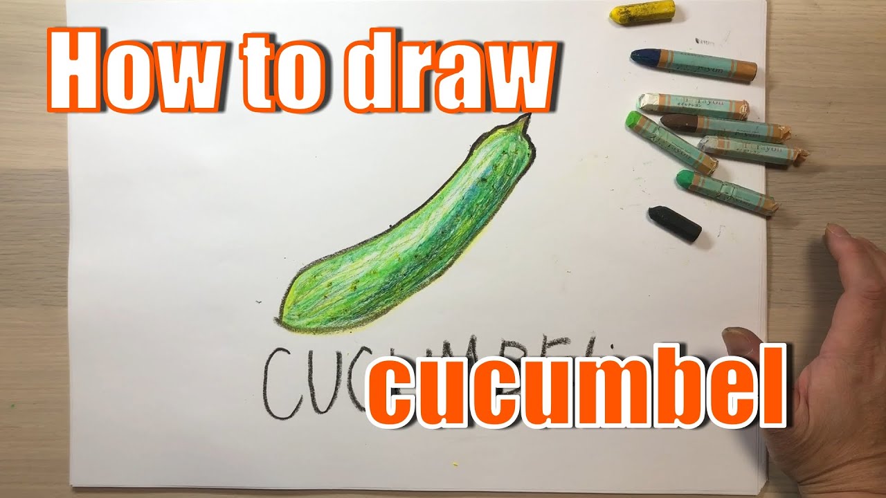 How To Draw Cucumber 如何画黄瓜 كيفية رسم الخيار Comment Dessiner Le Concombre Cómo Dibujar Pepino