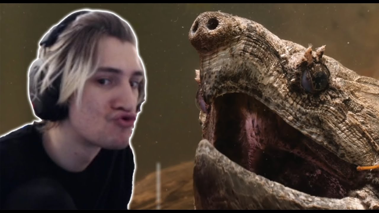Terrifying Worms