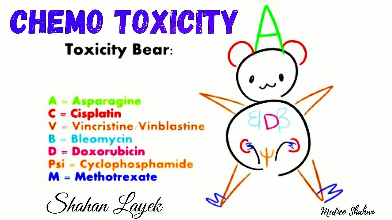 Chemo Toxicity and Toxicity Bear 🐻 | Medico Shahan 🎥☺️ - YouTube