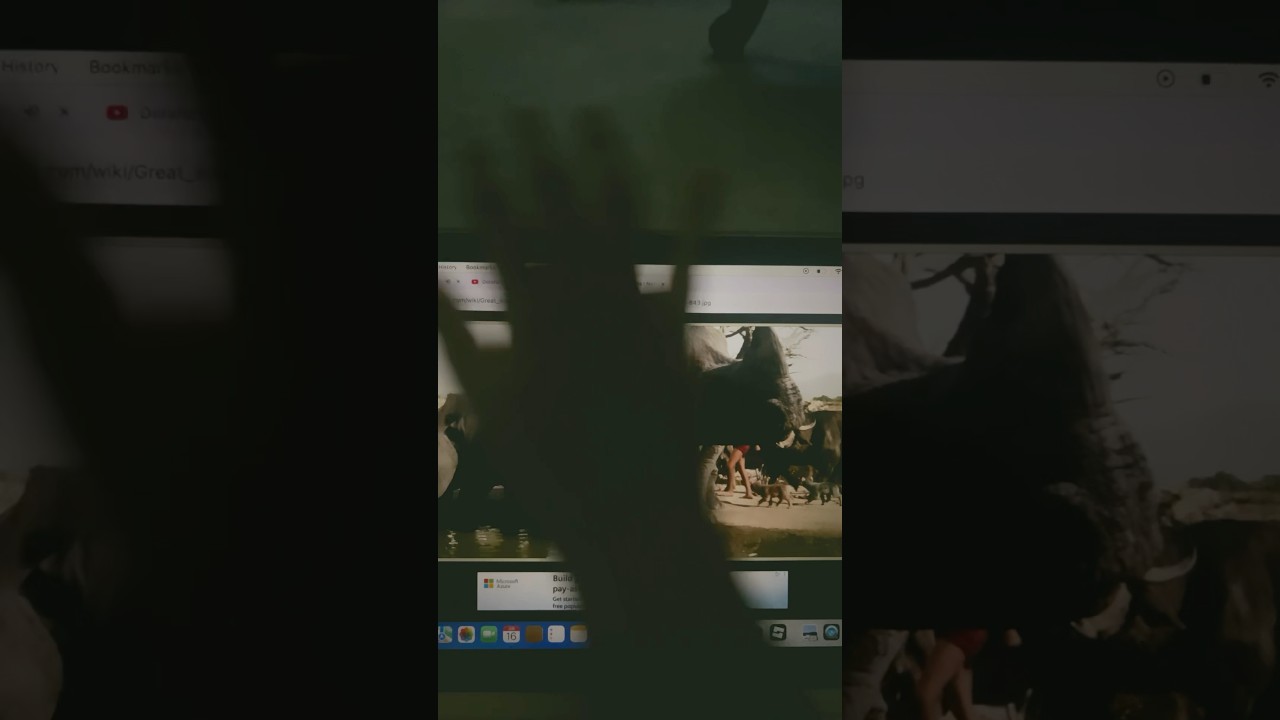 Rhinoceroes from tjb (2016) as Nyan cat - YouTube