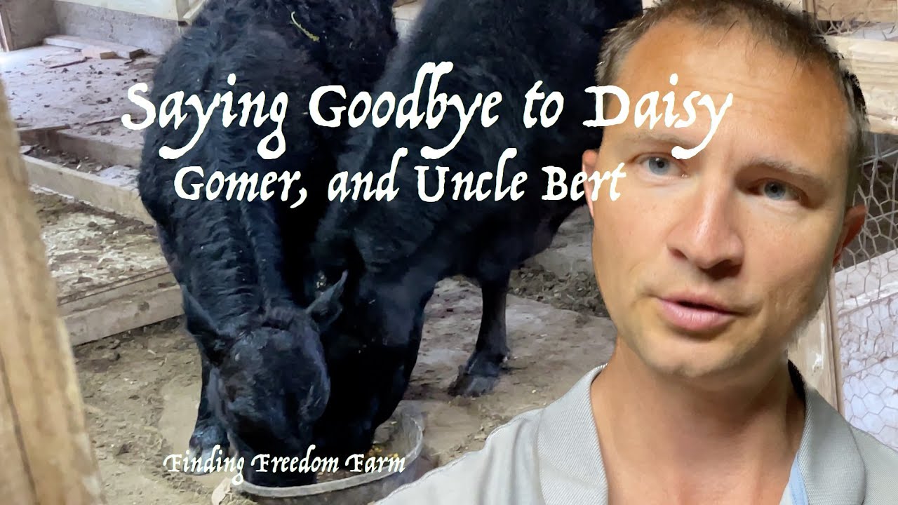 Goodbye Daisy, Gomer, and Uncle Bert. You will be missed! - YouTube