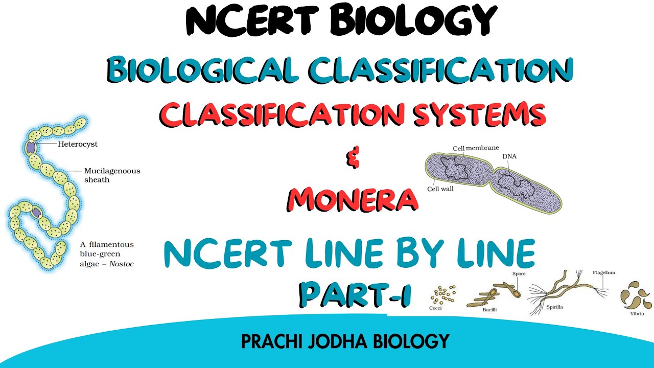 BIOLOGICAL CLASSIFICATION |NCERT REVIEW|NCERT LINE TO LINE CLASS XI | # ...