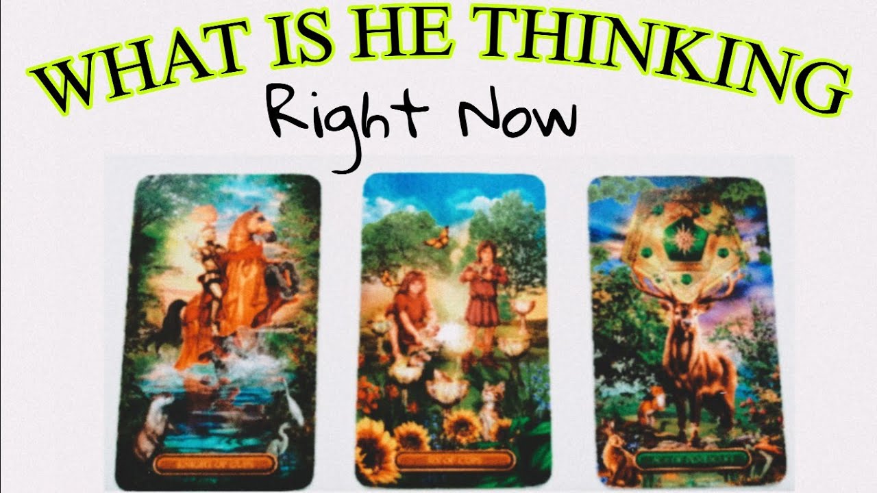 🤔 WHAT IS HE THINKING RIGHT NOW🌺PICK A CARD. TAROT CARD READING. - YouTube