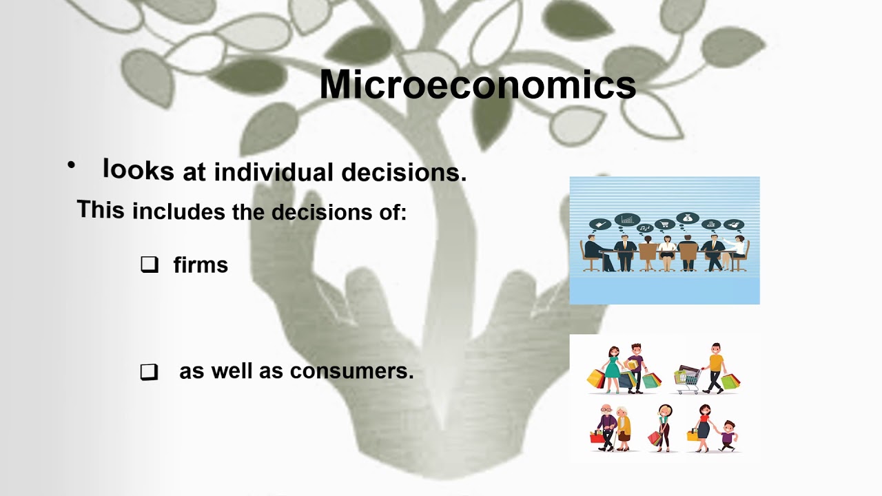 The branches of economics gr10 - YouTube
