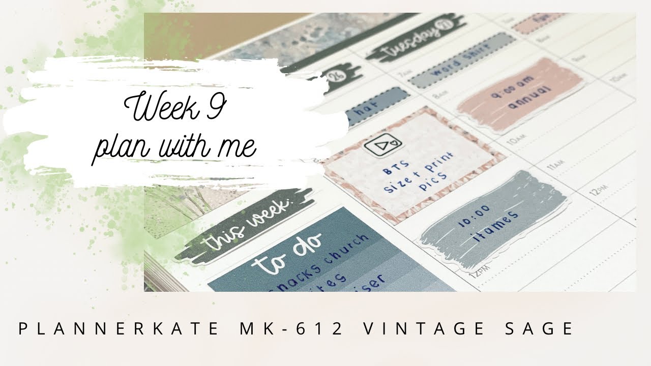 Week 9 Plan with Me | Erin Condren and PK MK-612 Vintage Sage - YouTube
