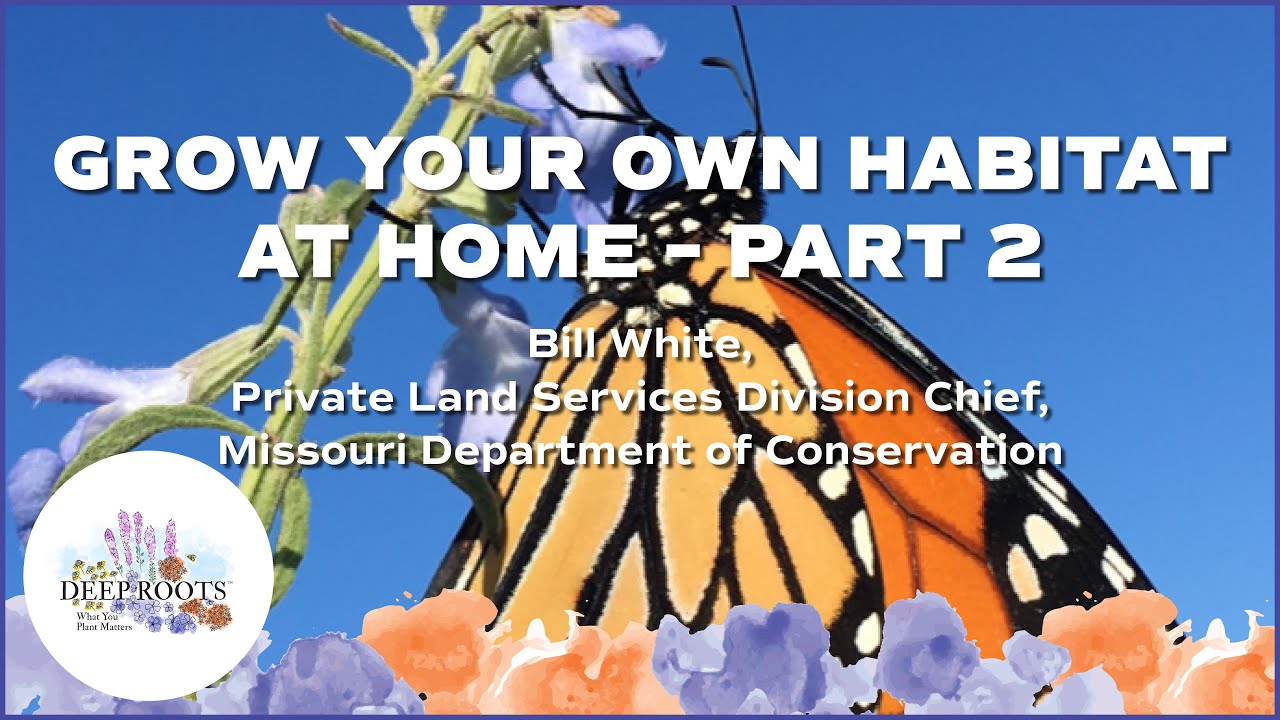 Virtual Series: Grow Your Own Habitat at Home - Part 2 - YouTube