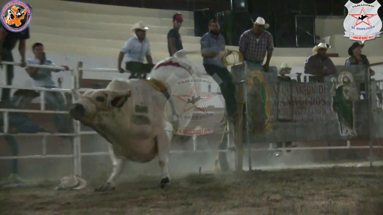 DIERON ESPECTACULO...LA ASOCIACIÓN DE TOROS DE REPARO EN AYUQUILA ...