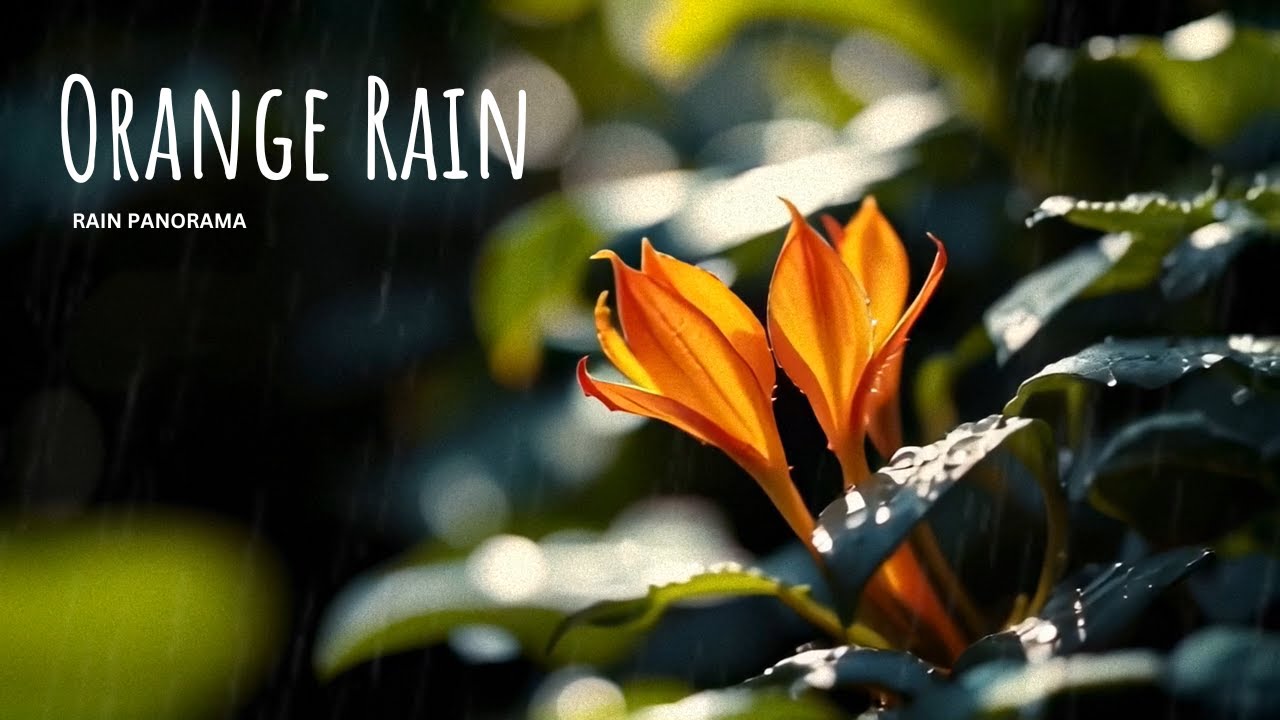 24/7 Orange Rain – Calming Piano Music for Sleep, Stress Relief & Deep ...