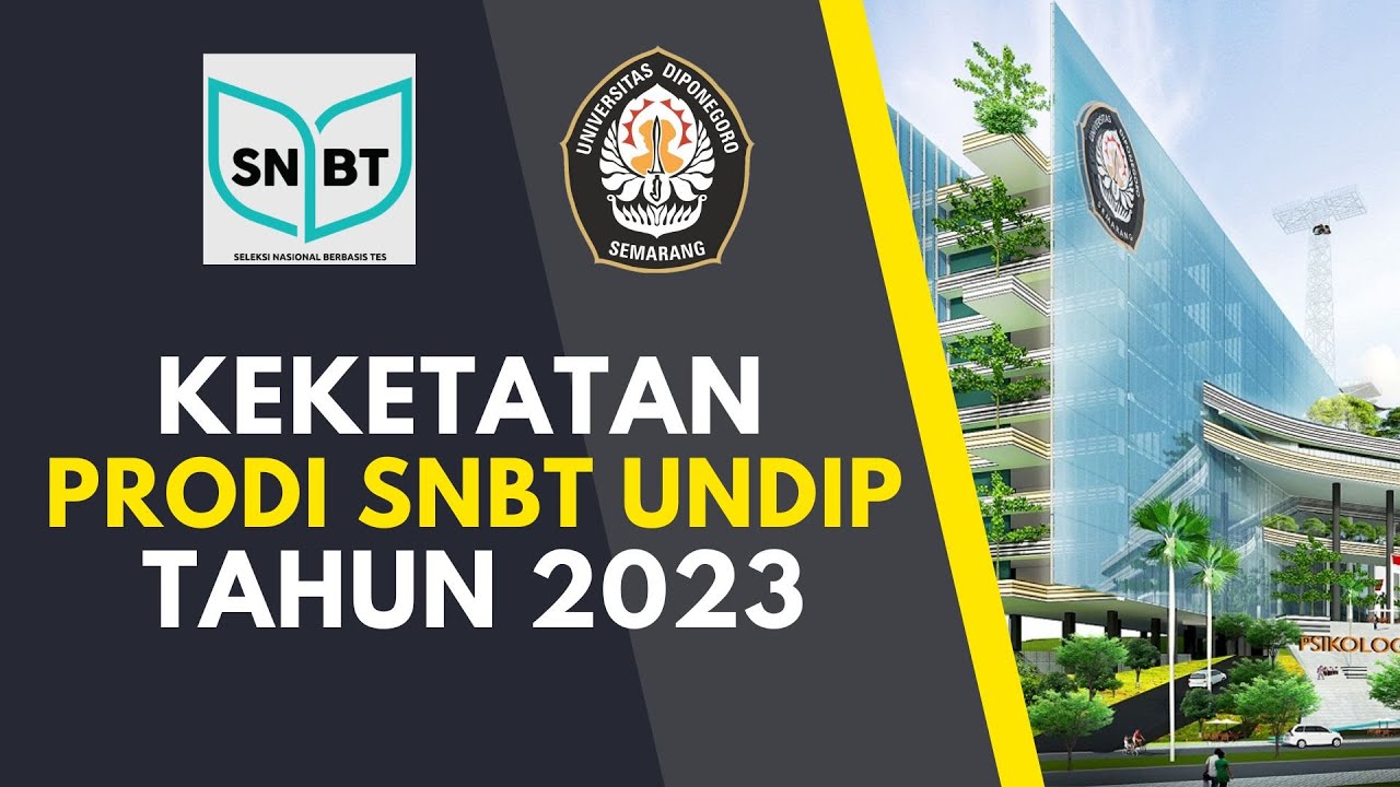 KEKETATAN PRODI JALUR SNBT UNIVERSITAS DIPONEGORO UNDIP TAHUN 2023 ...
