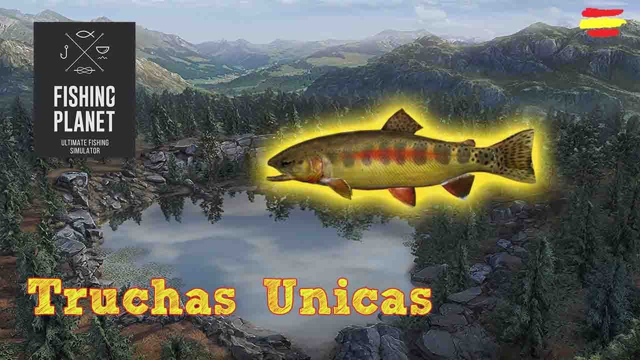 Guía Definitiva: Pesca de Trucha Cutthroat y Dorada Única en Lago Rocky ...