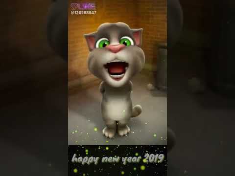 Ppppppppppppppppppp - YouTube