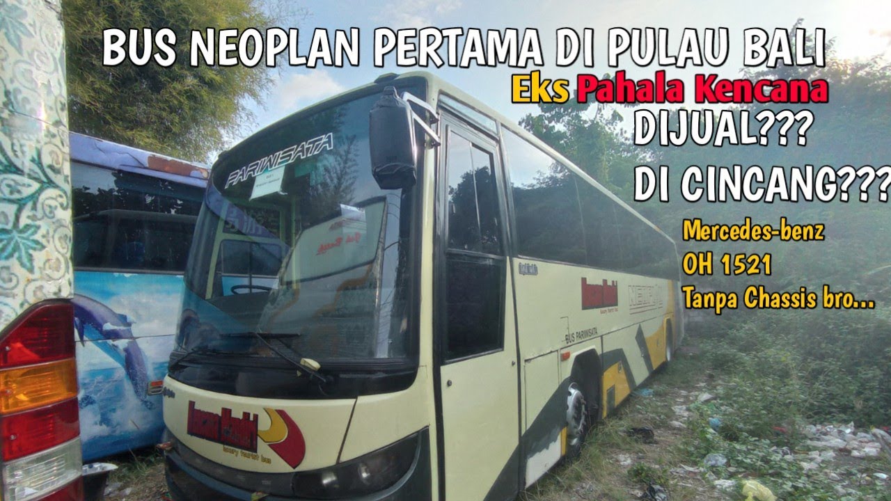 Bus Neoplan Adiputro Bekas Pahala Kencana 😍 Banyak Bus Bekas Pariwisata ...