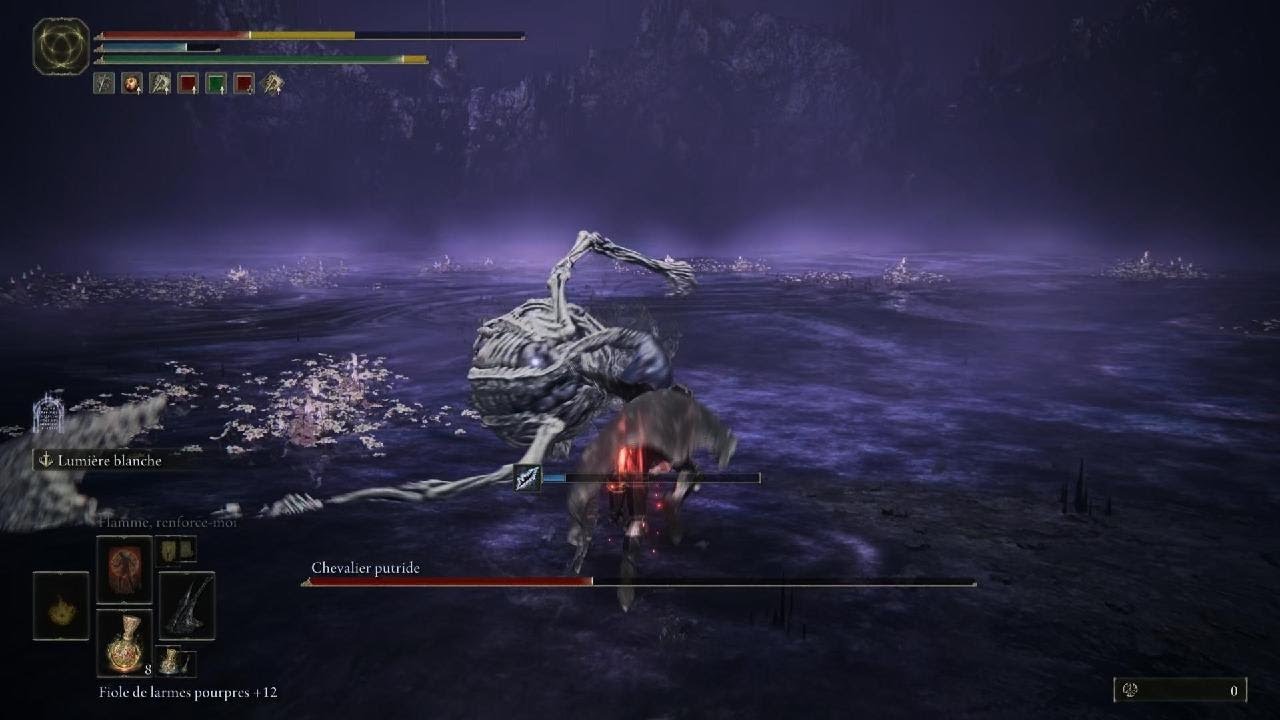 1 HIT Chevalier putride ELDEN RING DLC - YouTube