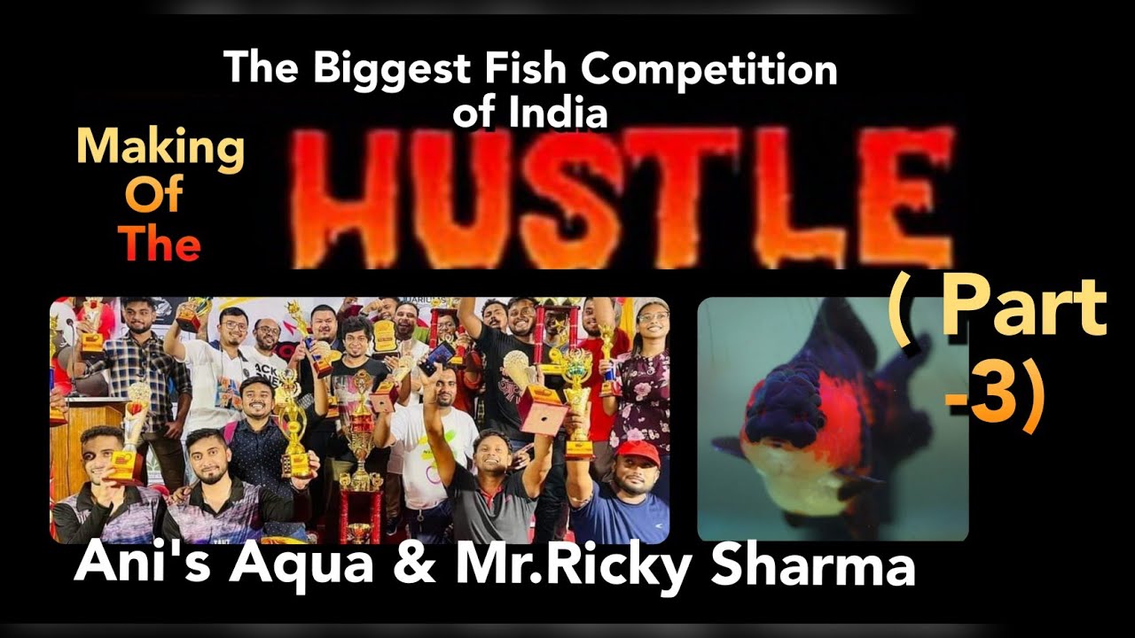 PART-3-HOW THE BIGGEST FISH COMPETITION OF INDIA - HUSTLE 2023 WAS MADE ...