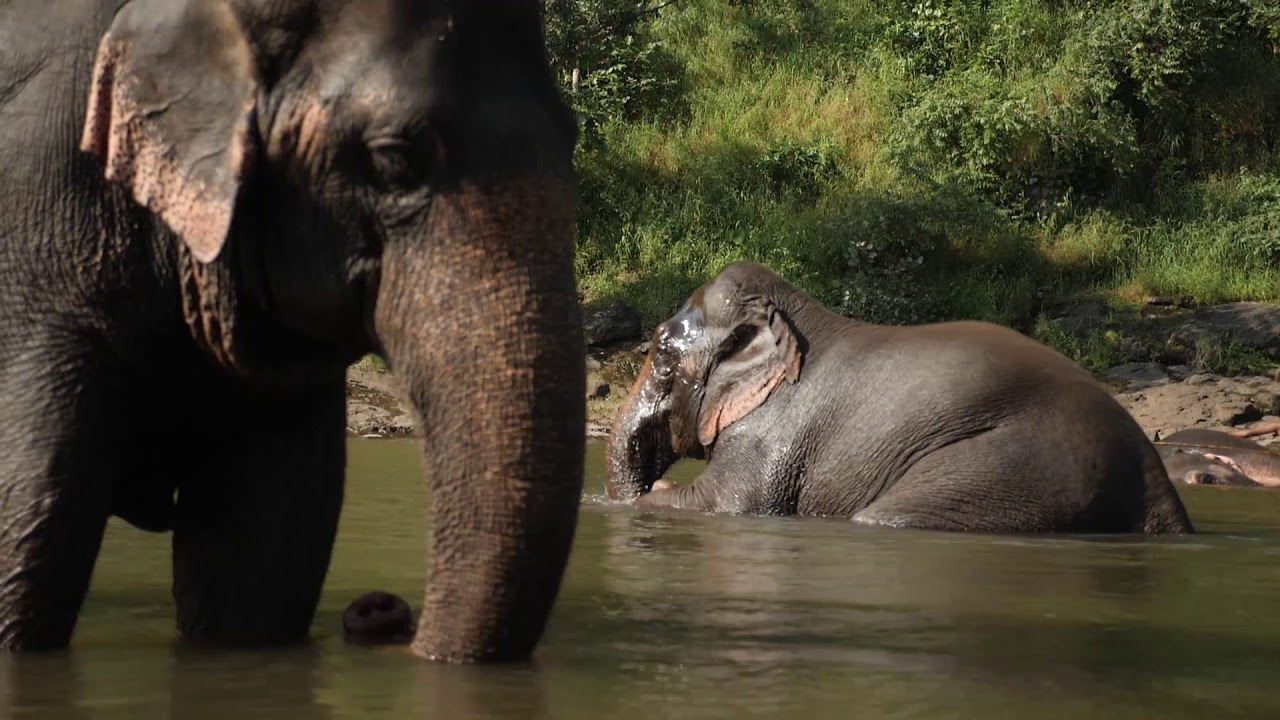 Magic Of Melghat....! - YouTube