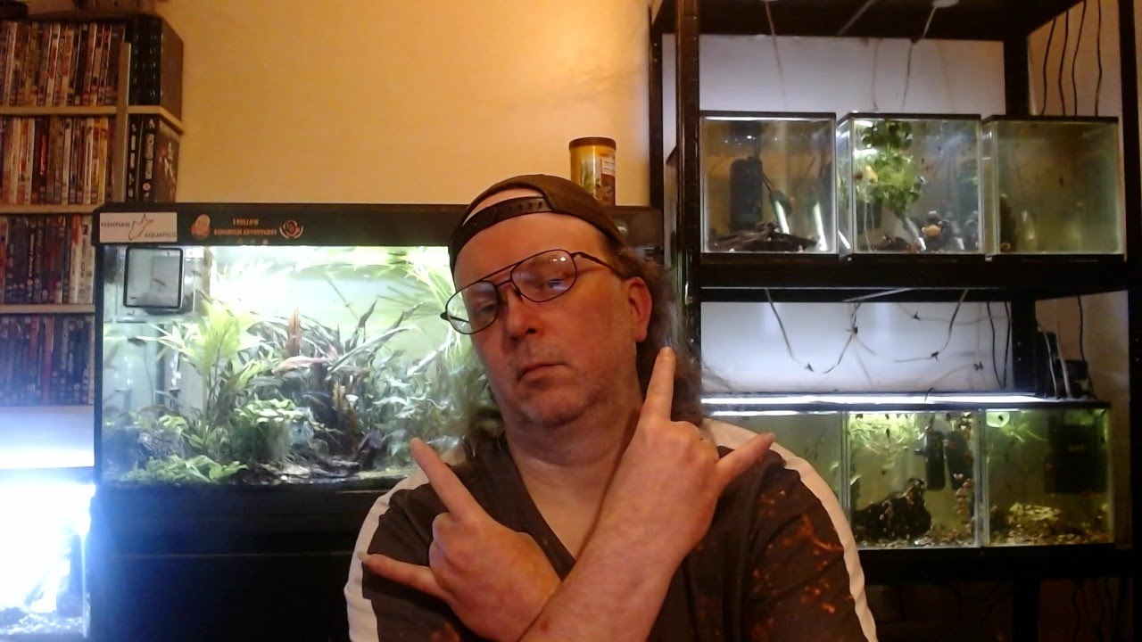 Sunday Sharpe: pre crust mess stream - YouTube