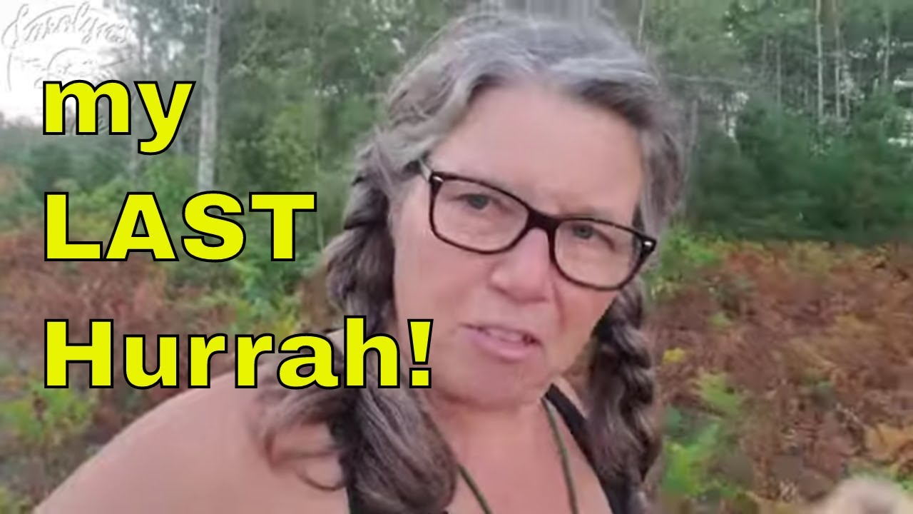 Paradise Found! The BEST Boondocking ,UP Mystery Forest! - YouTube