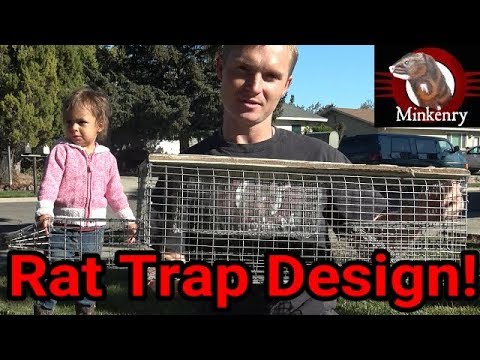 Amazing Repeating Rat Trap! - YouTube