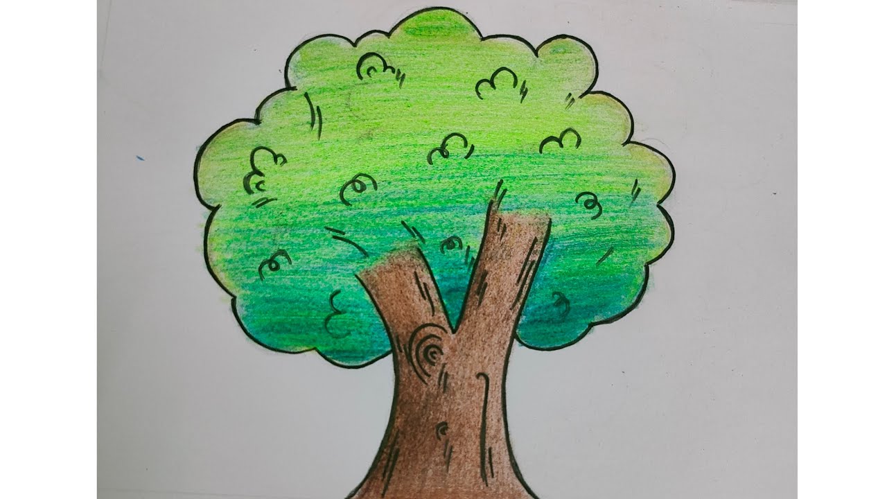 Nature Tree Drawing Easy Pencil Colour #tree #shortvideoviral # ...