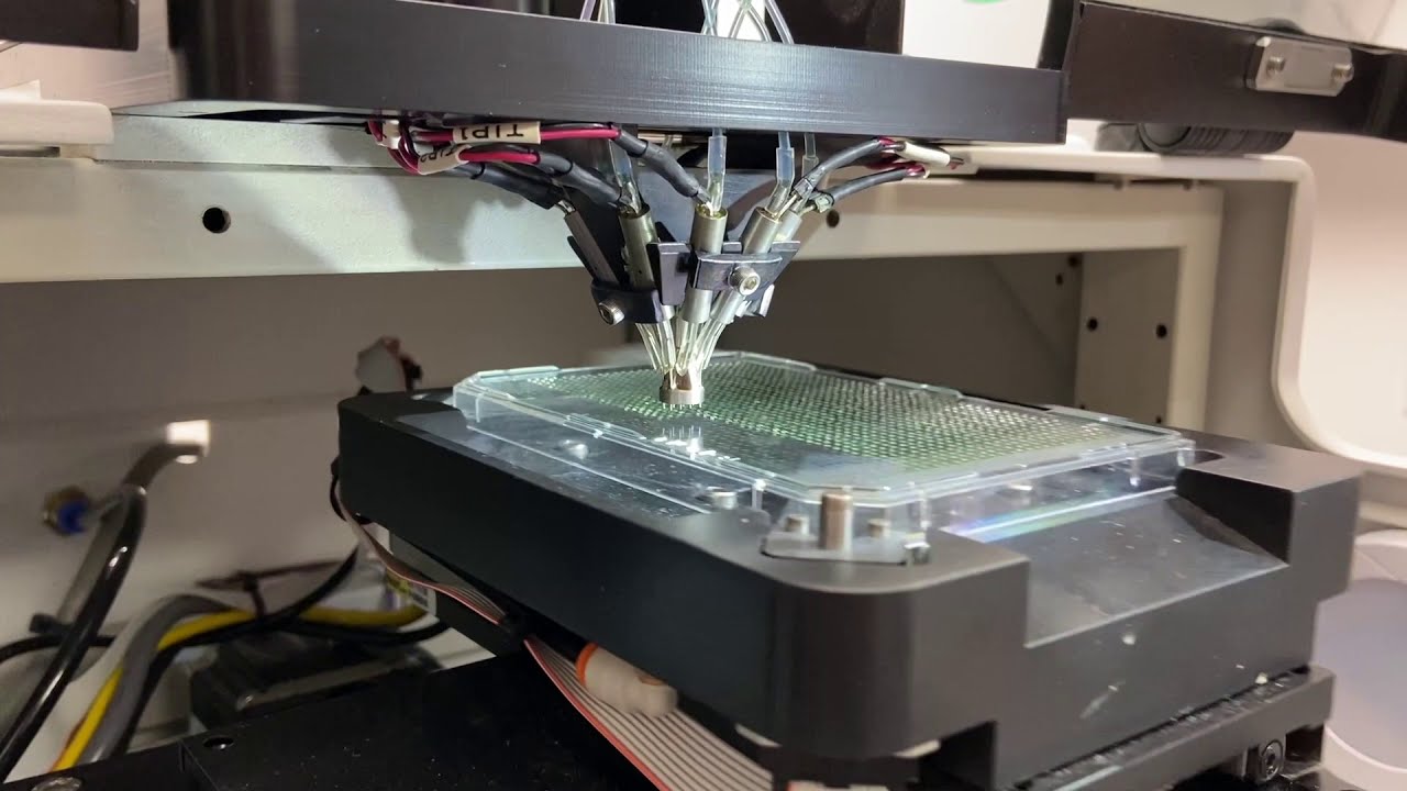 Let's Go Robotics Inc: BioRaptr 2.0 - YouTube