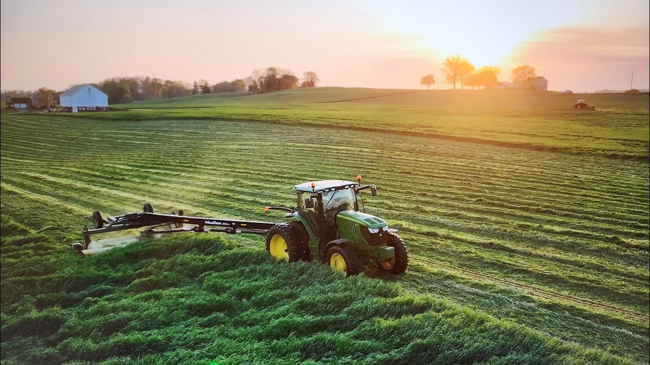 Mowing Rye with Two Macdon R116 - YouTube