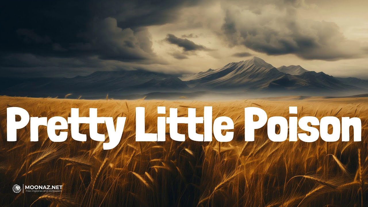 Pretty Little Poison (Lyrics) - Warren Zeiders | Crazy Dreams - YouTube