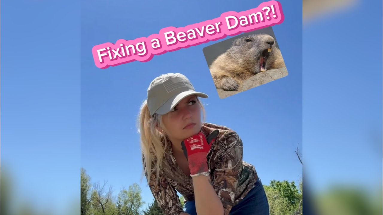Fixing a Beaver Dam?! - YouTube