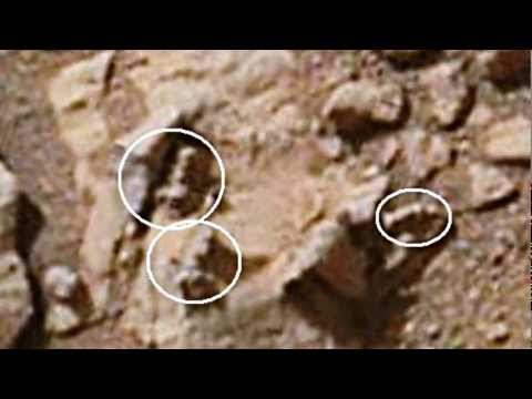 Bugs of Mars - YouTube